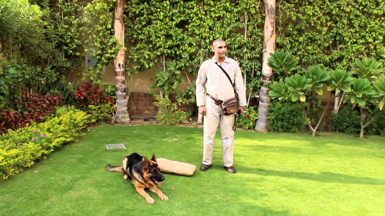 Training Tamer El-Ghandour, New Castle - YouTube