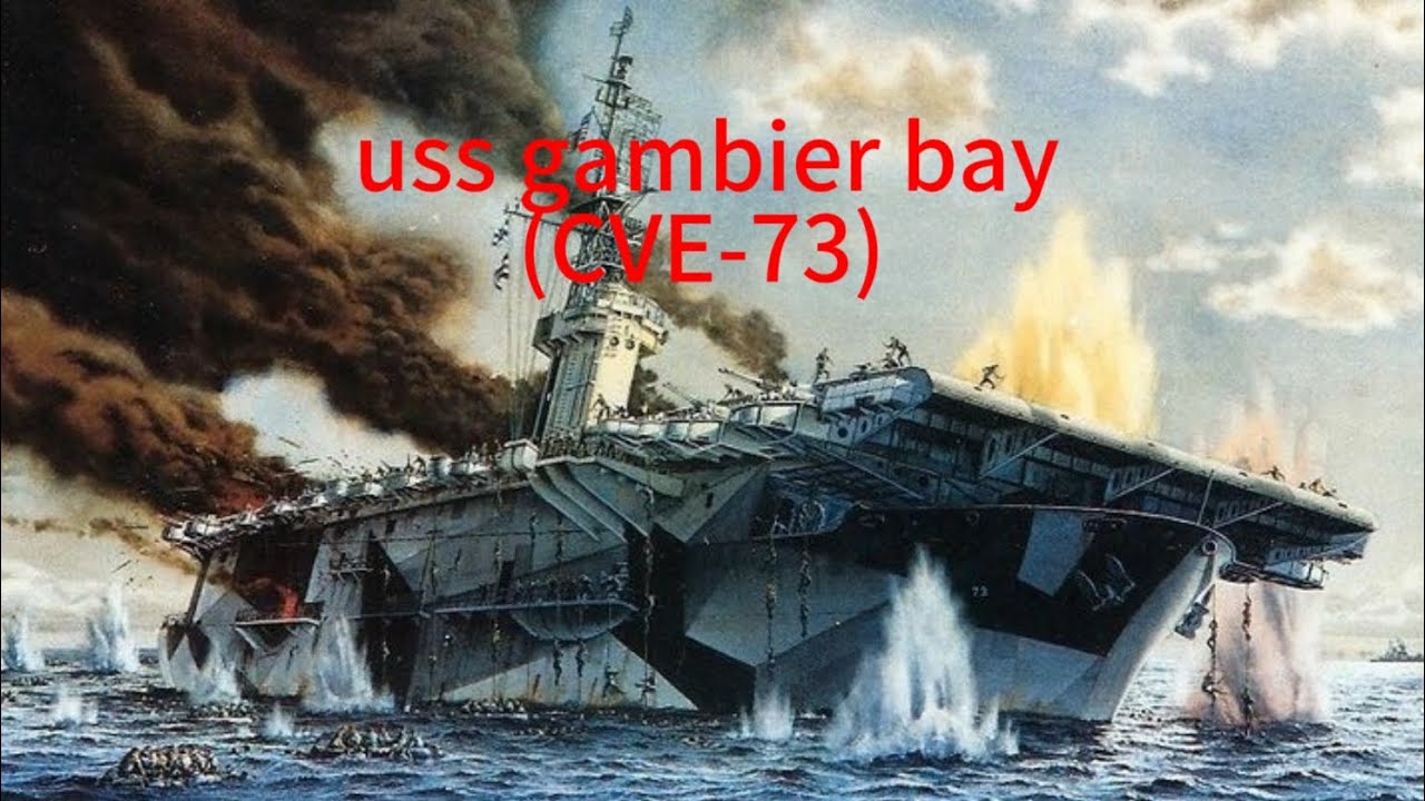Uss gambier bay(CVE-73) || dj the drum breakbeat #shorts # ...
