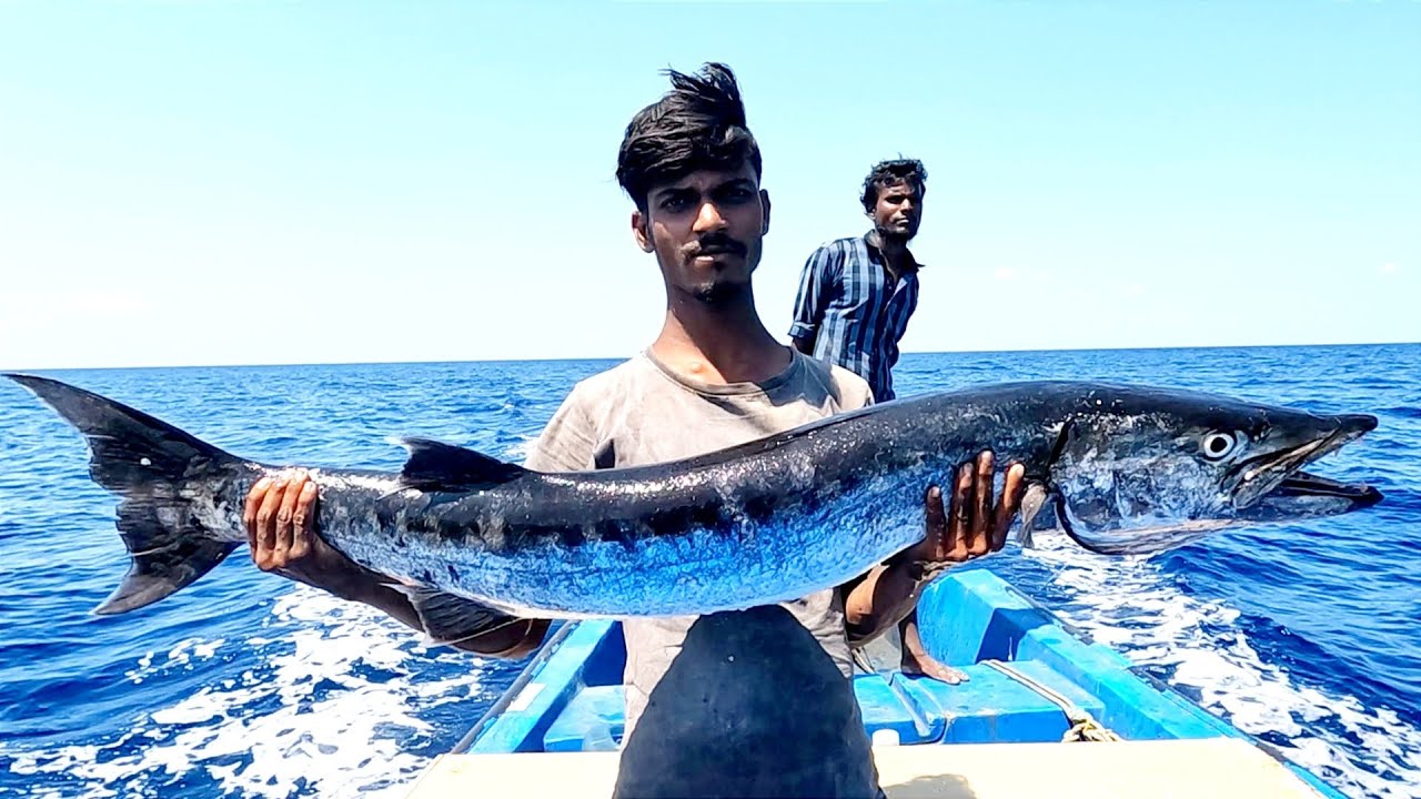 Catching Giant Barracuda Fish, Mahi Mahi Fish & Needle Fish in the Deep ...