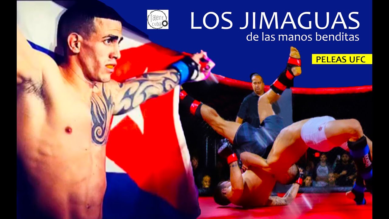 Peleadores cubanos en la UFC | Ernesto y Eduardo, los Jimaguas de las ...