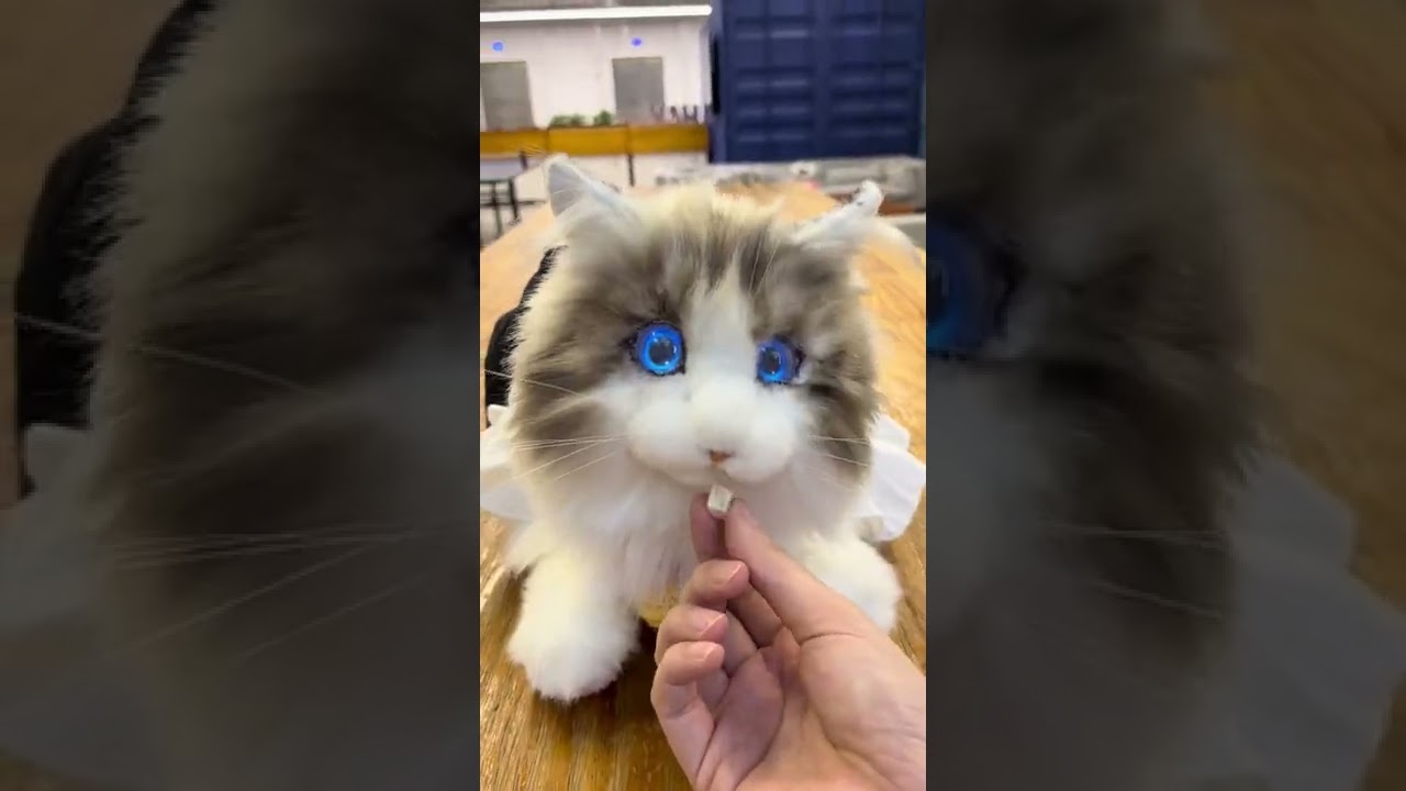 metaCat | a lifelike robot cat with dynamic eyes. - YouTube