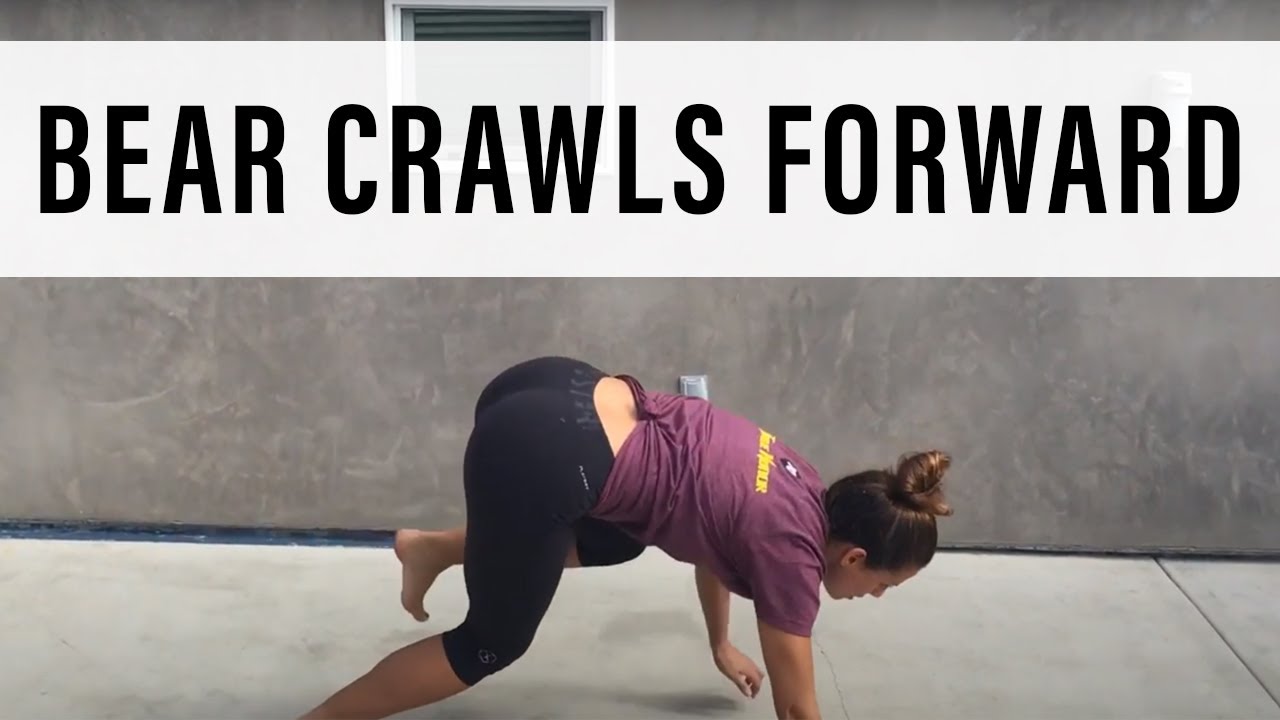 Bear Crawls Forward - YouTube