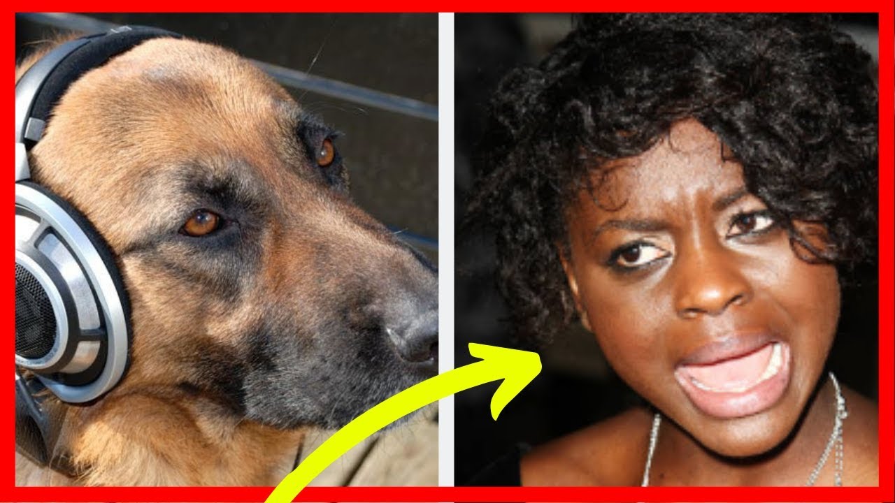 7 SHOCKING Gamu Nhengu Facts - YouTube