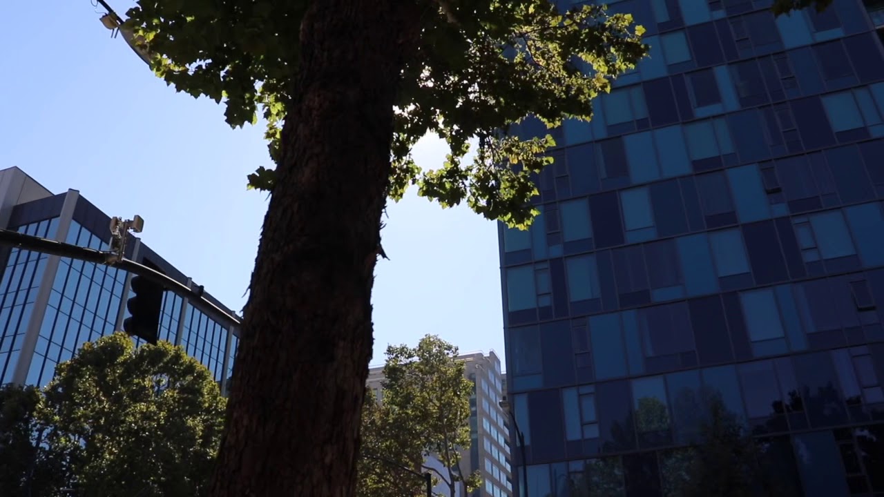 November 5, 2019 - YouTube