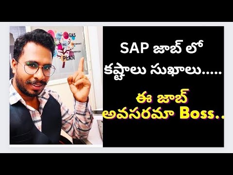 SAP జాబ్ లో కష్టాలు సుఖాలు..SAP జాబ్ ఈజీ లేదా కష్టమా? How hard is SAP ...
