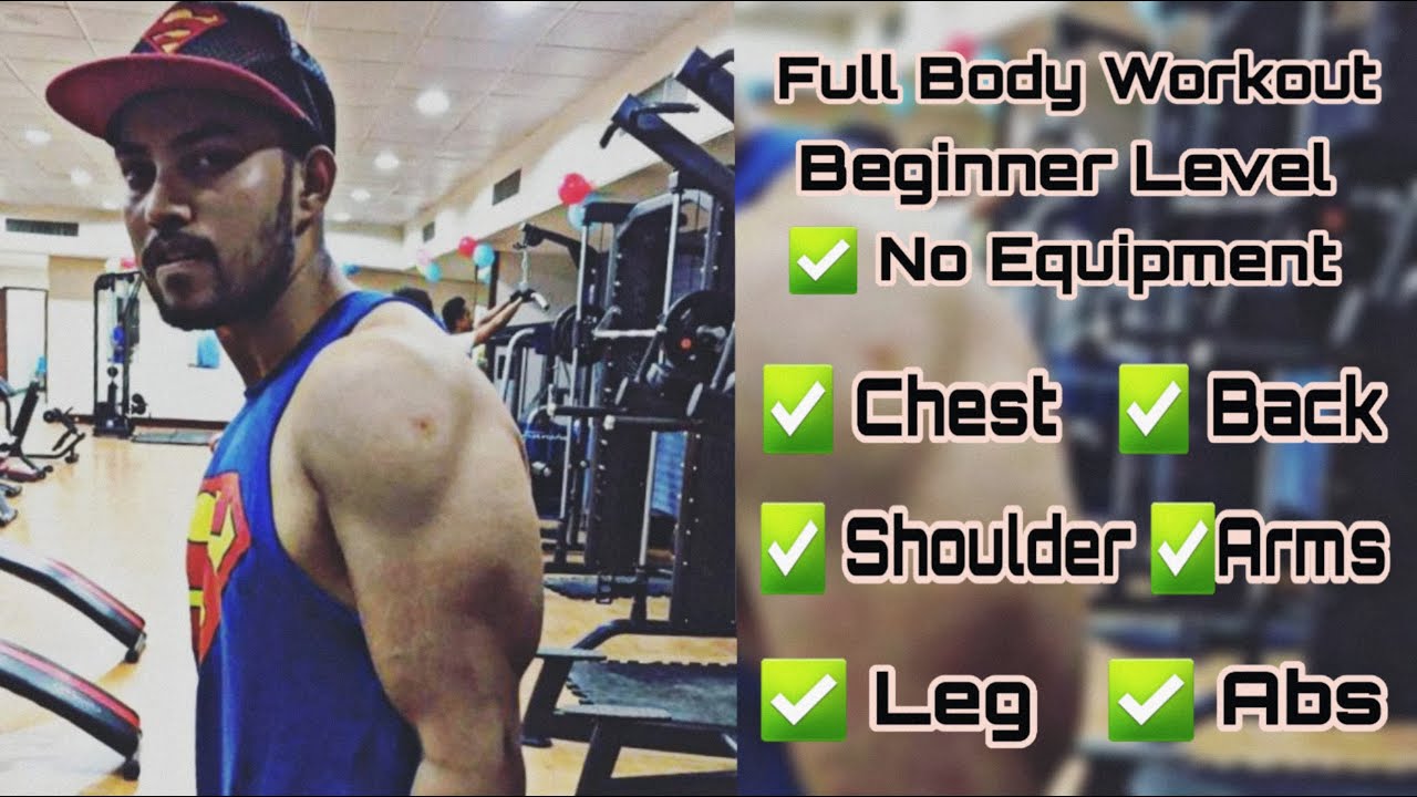 Full Body Basic Home Exercises for Beginner Men & Women (No Equipment ...