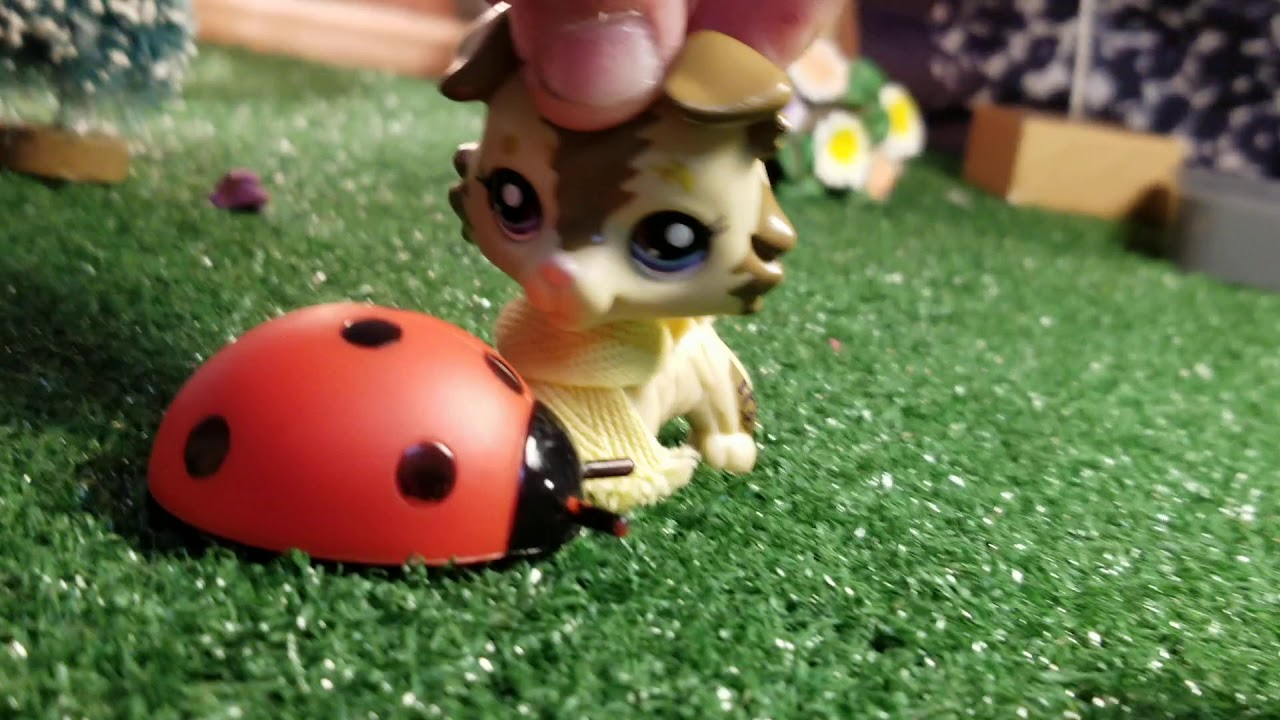 Part #5 The Scavengers - YouTube