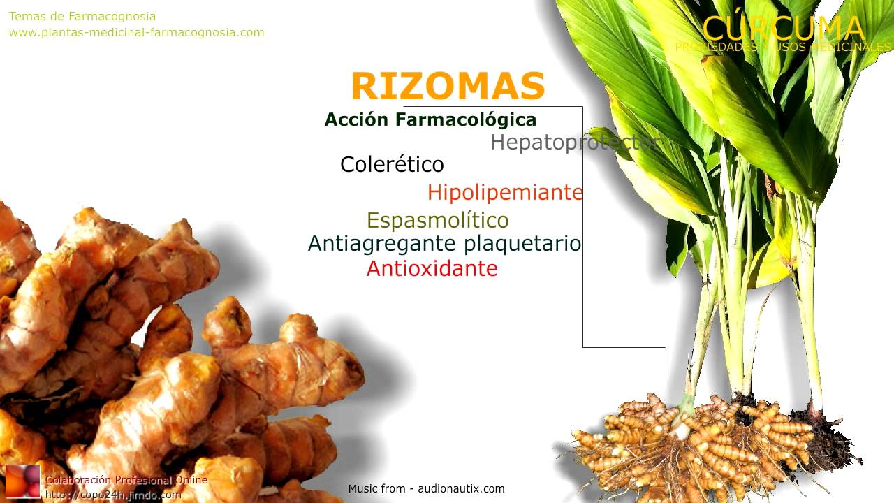 Cúrcuma. Propiedades y beneficios - YouTube