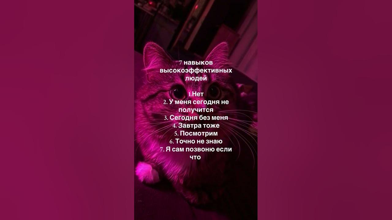 кот хару Cat котик мем Youtube