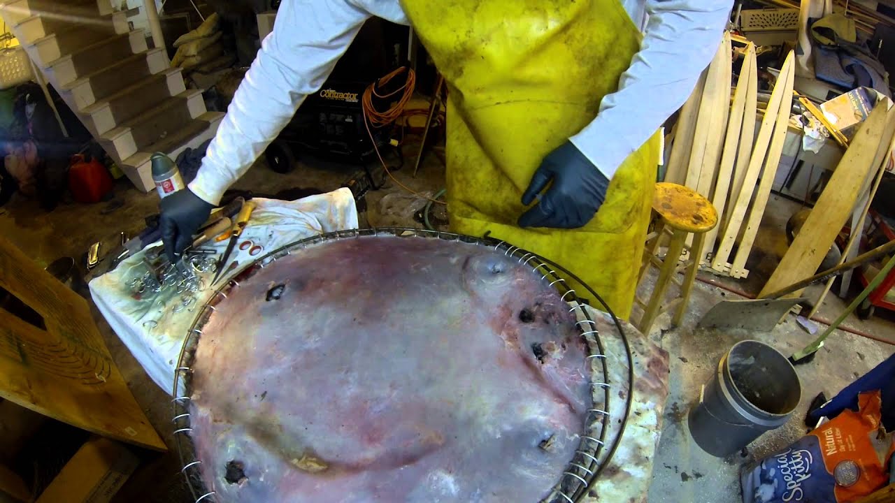 Hoop Stretching a beaver - YouTube