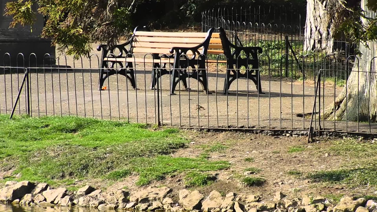 Nikon Coolpix L840 Sample Video