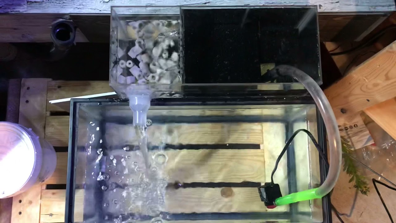 My HOB Sump Filter - YouTube