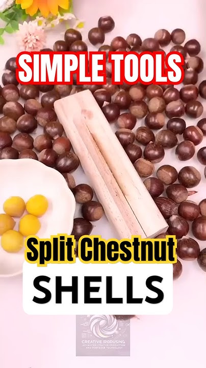 Simple Tool to Easily Split Chestnut Shells! - YouTube