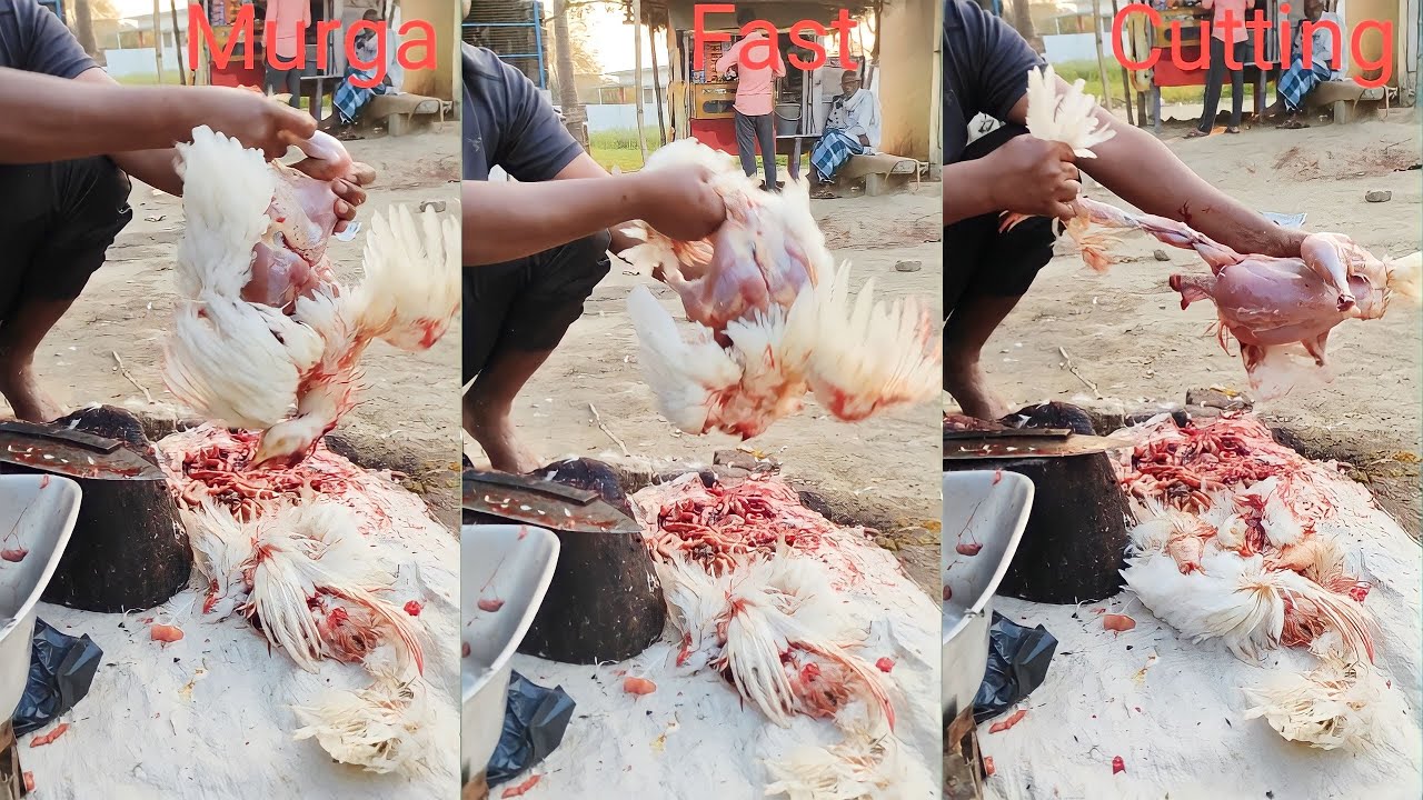 Amazing murga Cutting Fast Murga Catting - YouTube