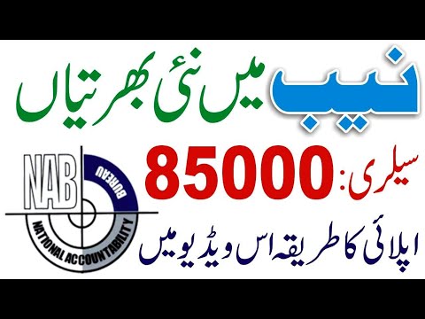 Nab Jobs 2024 - National Accountability Bureau Jobs 2024 - Nab Careers ...