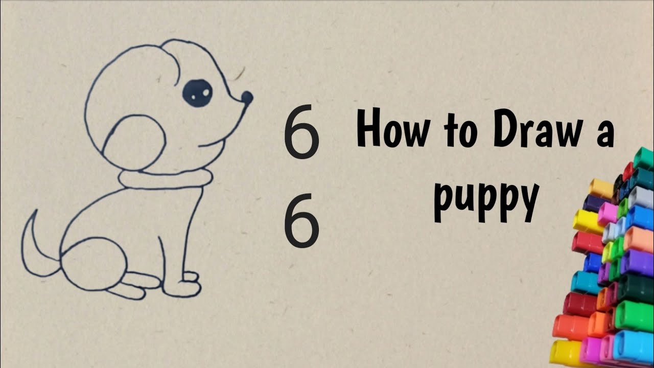 Draw a Puppy from 6 6 / How to Draw a Puppy Step by Step - YouTube