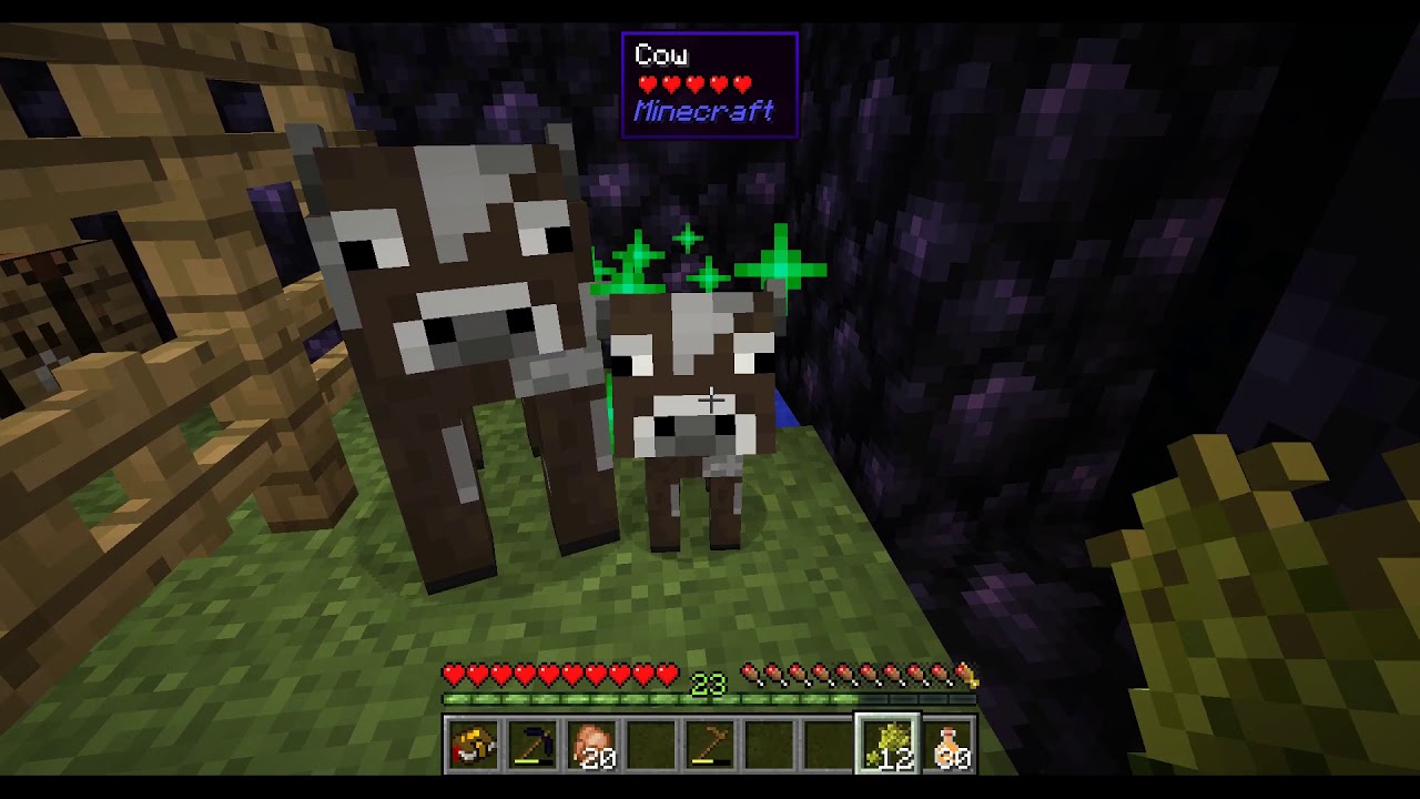 Minecraft Moddato Break Out #15: La fine... - YouTube