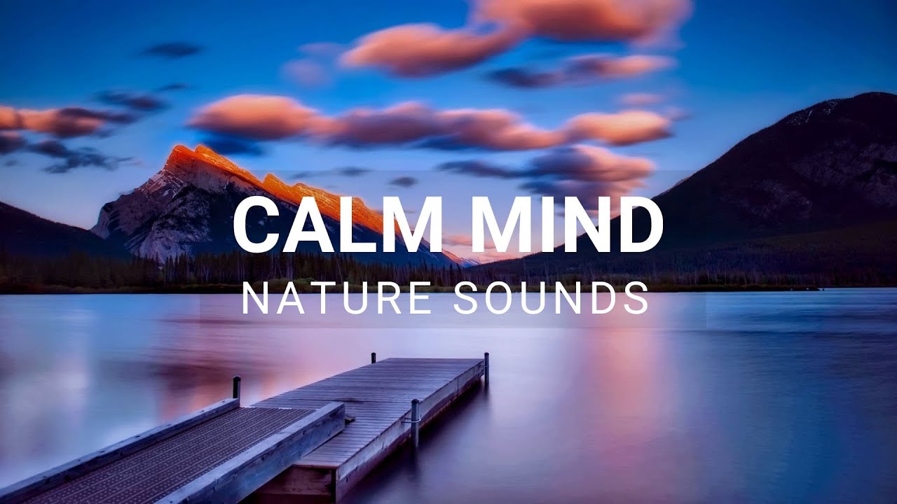 Calming Nature Sounds For Relaxing | Strees Relief and Lower Anxiety ...