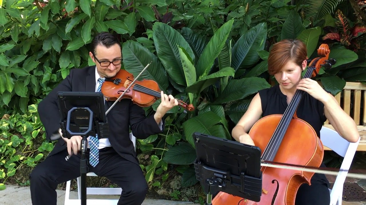 String Ensembles - YouTube