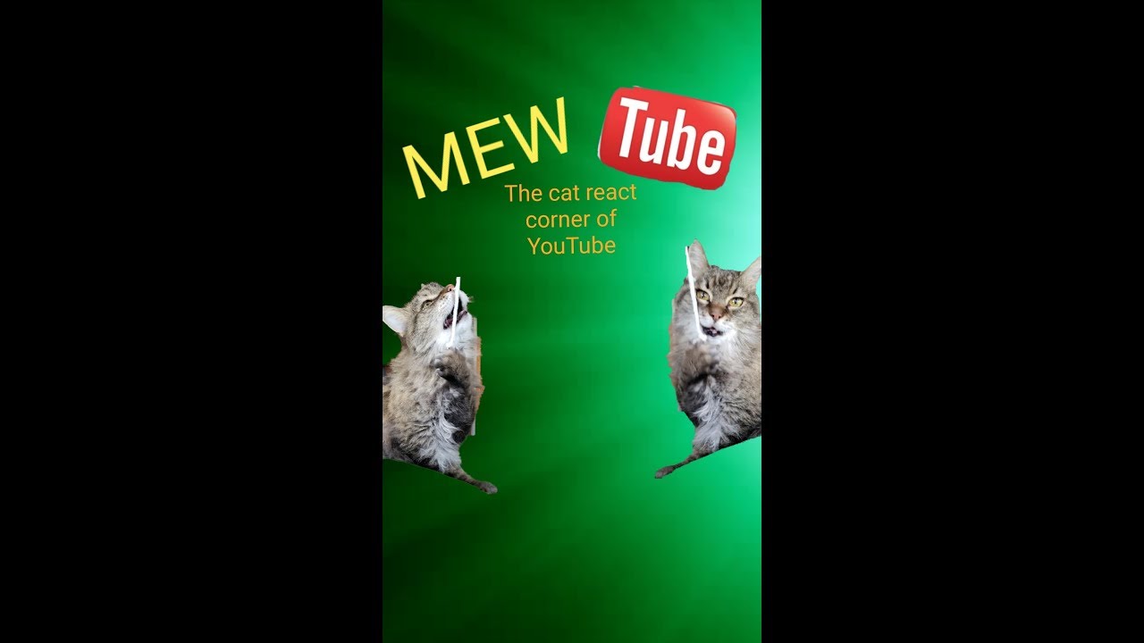 Mew-Tube 2 - YouTube