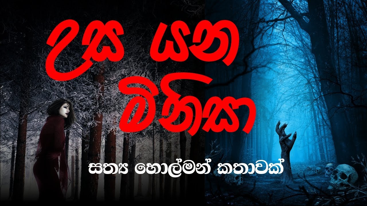 ගැහැණිය පසුපස ආ උස යන මිනිසා | Sinhala ghost | Sinhala horror stories ...