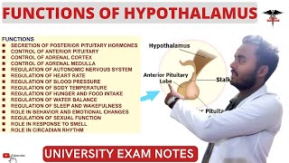 Functions Of Hypothalamus|| CNS Physiology lecturers | Doovi