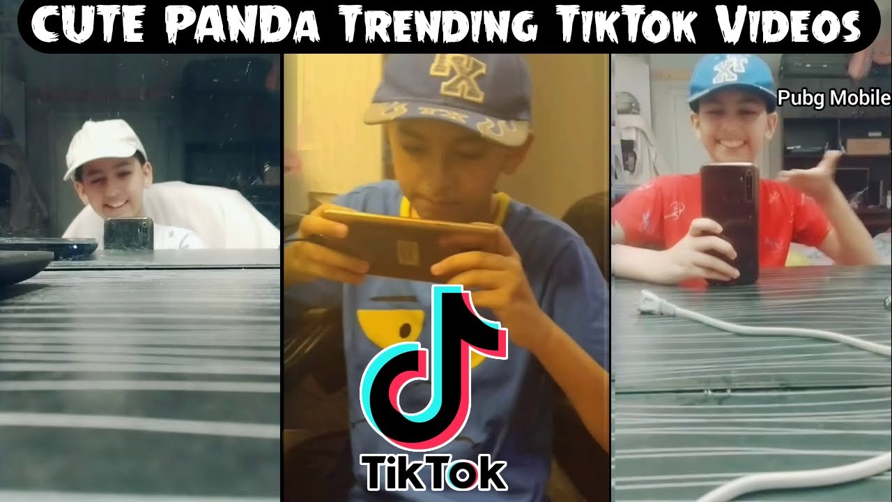 Cute Panda trending Tik Tok Videos 2020 l Pidu Gamer - YouTube