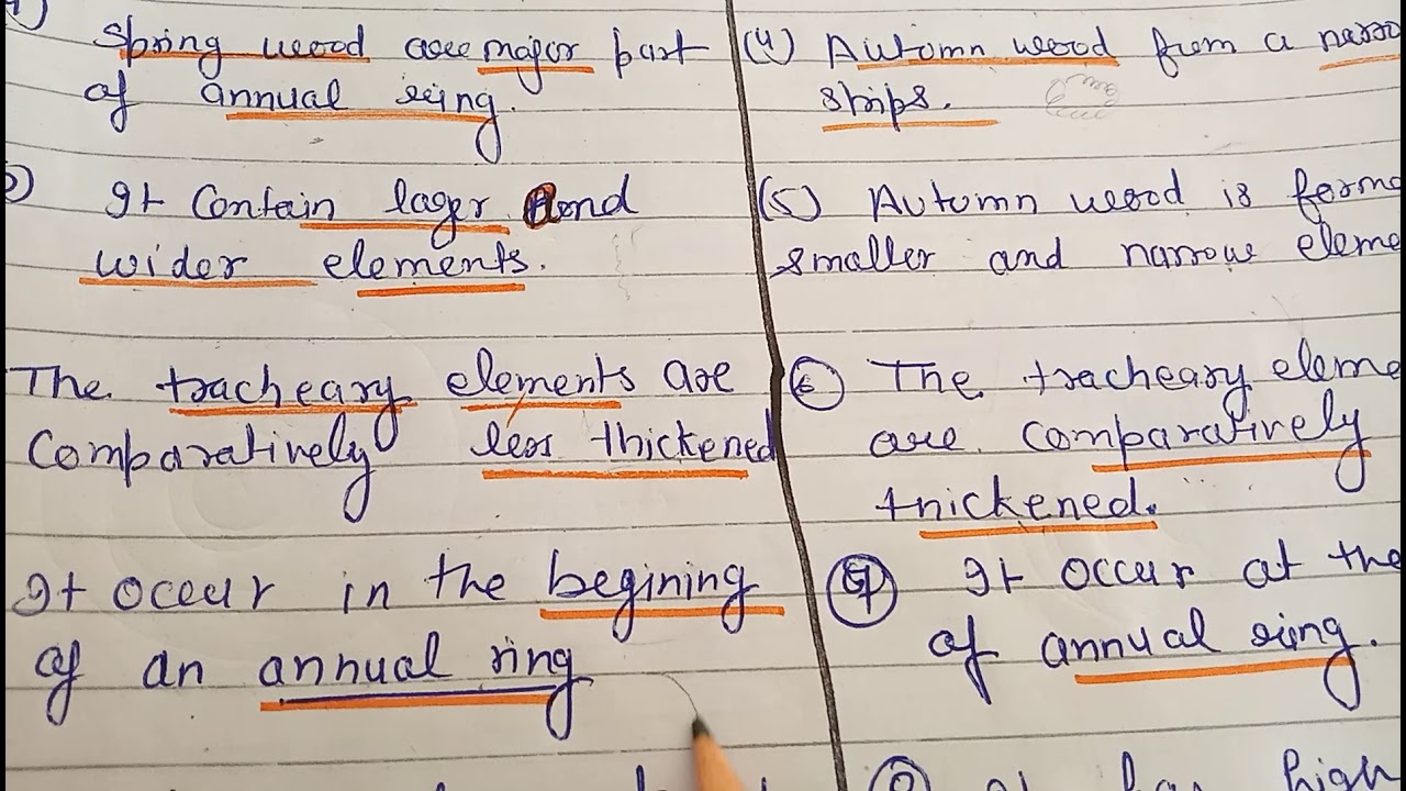 difference between spring wood and autumn wood - YouTube