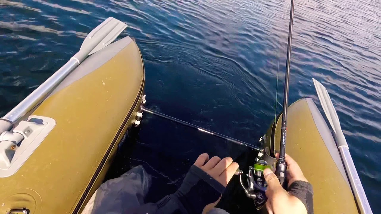 Wrasse fishing - Berggylt - YouTube