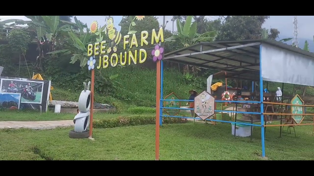 WISATA FLYING FOX JBOUND CIAPUS DI HARI LIBUR | saloka wisata tv - YouTube