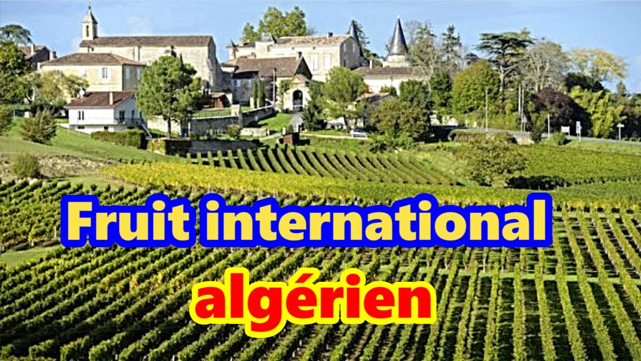 Le fruit algérien devenu mondialement connu et apprécié de tous. - YouTube
