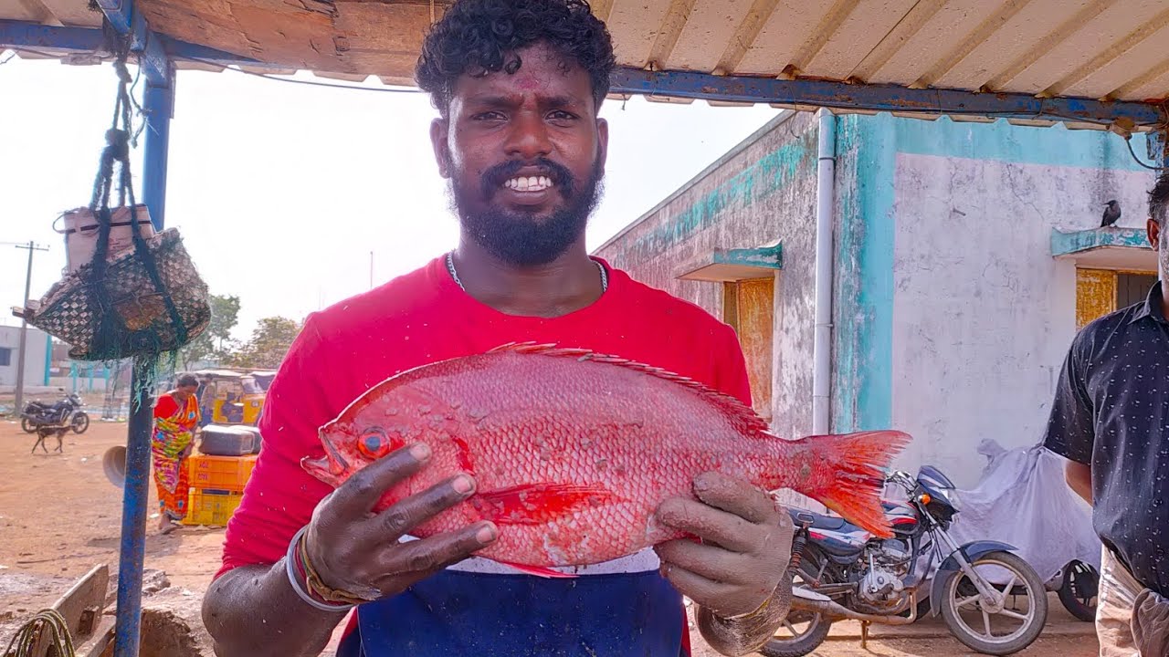 செம்மீன் வெட்டுதல்\\SEMMEEN FISH CUTTING💥💥🐠🐠🔥 - YouTube