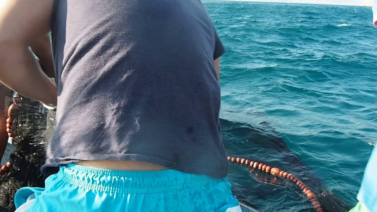 Fishing in Sorrento - Ippo style - YouTube