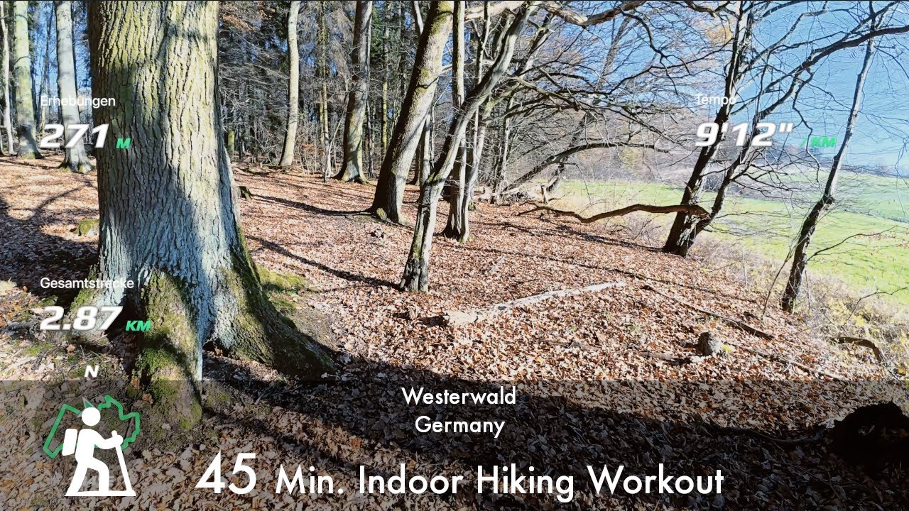 45 Min Indoor Hiking/Wandern/Walking Workout #001 - Germany Westerwald ...
