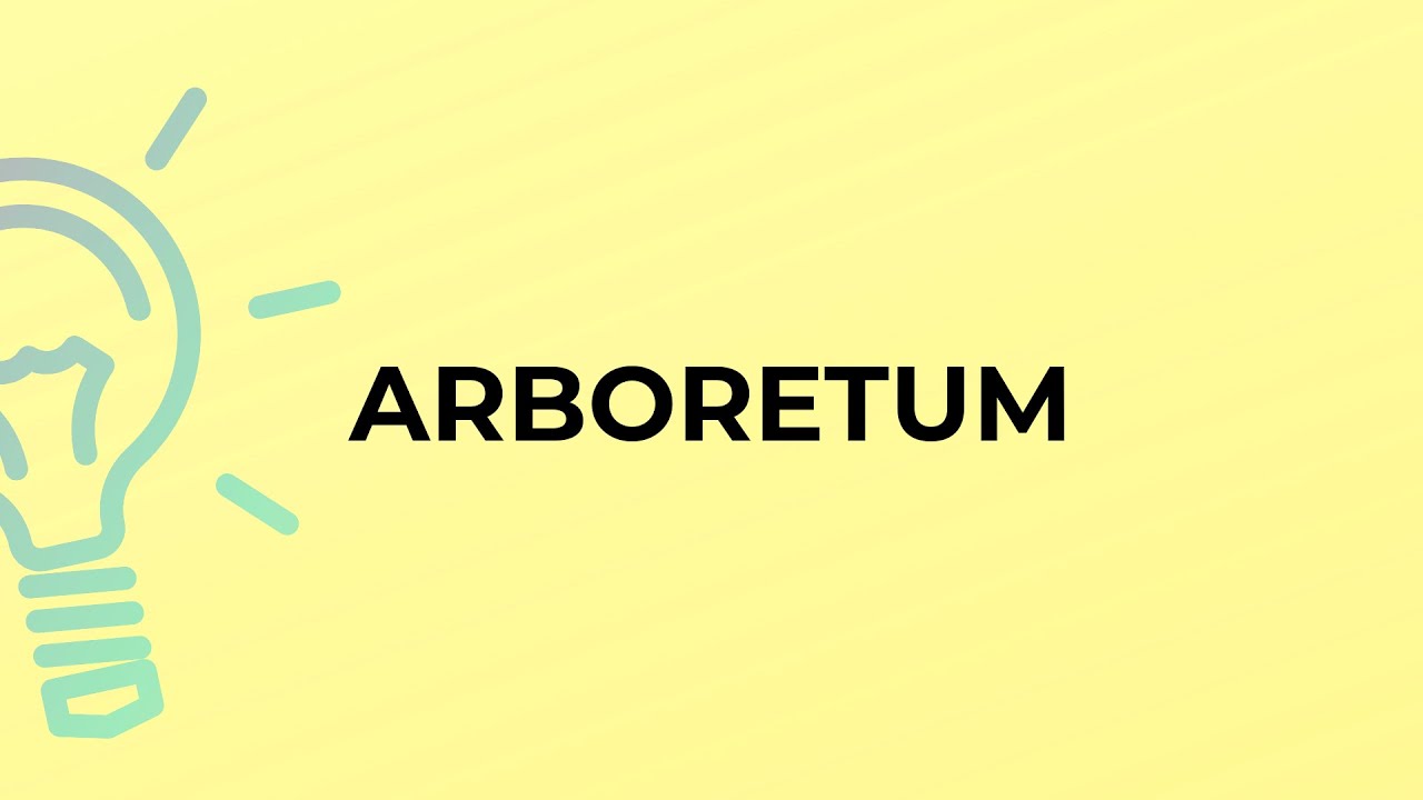 What is the meaning of the word ARBORETUM? - YouTube