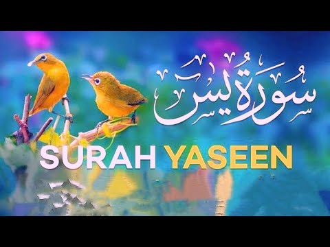 Surah Yasin Yaseen Full With Arabic Beautiful recitation ALLAH SE MOHABAT