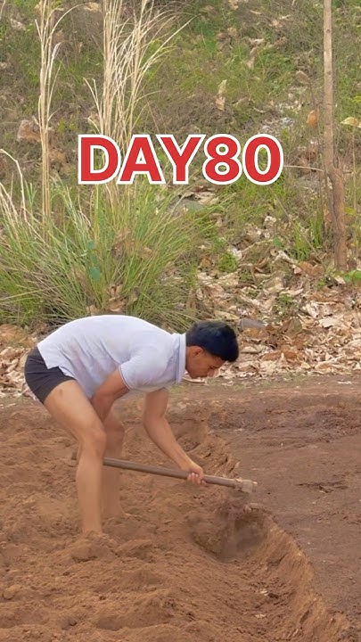 DAY80/90DAYS CHALLENGE🙏 #90dayschallenge #fitness #workout #hustlersaini #kushti #dangal #akhada ...