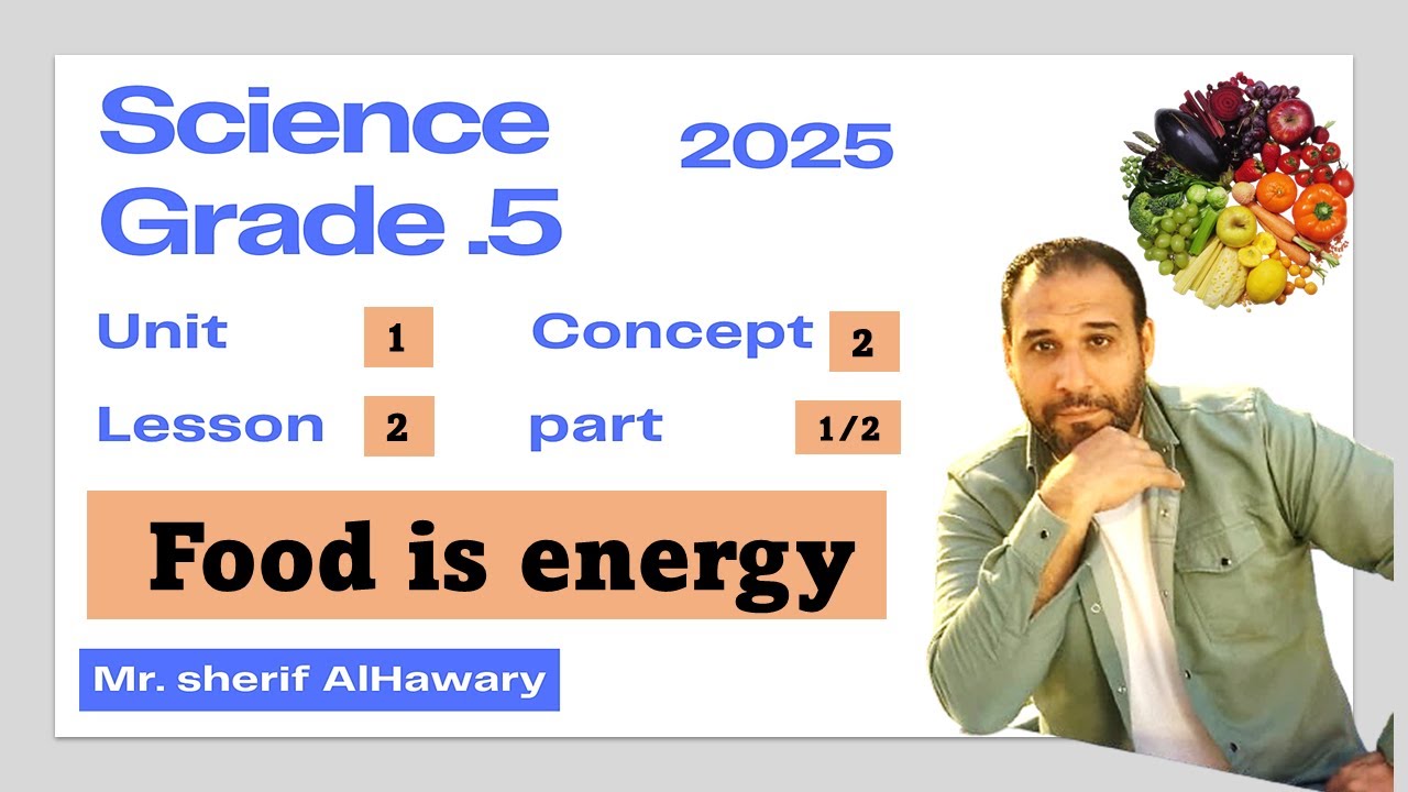 Science 5 | Food is energy |Grade 5 | Unit 1-Concept 2 -Lesson 2 - Part ...