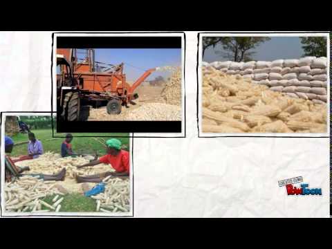 Activated Carbon Production From Maize Cob Waste - YouTube
