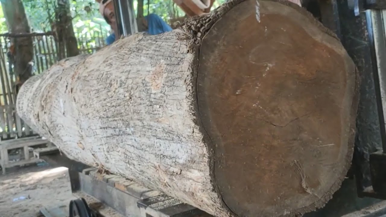 large teak wood processing process with an extraordinarily compact team ...