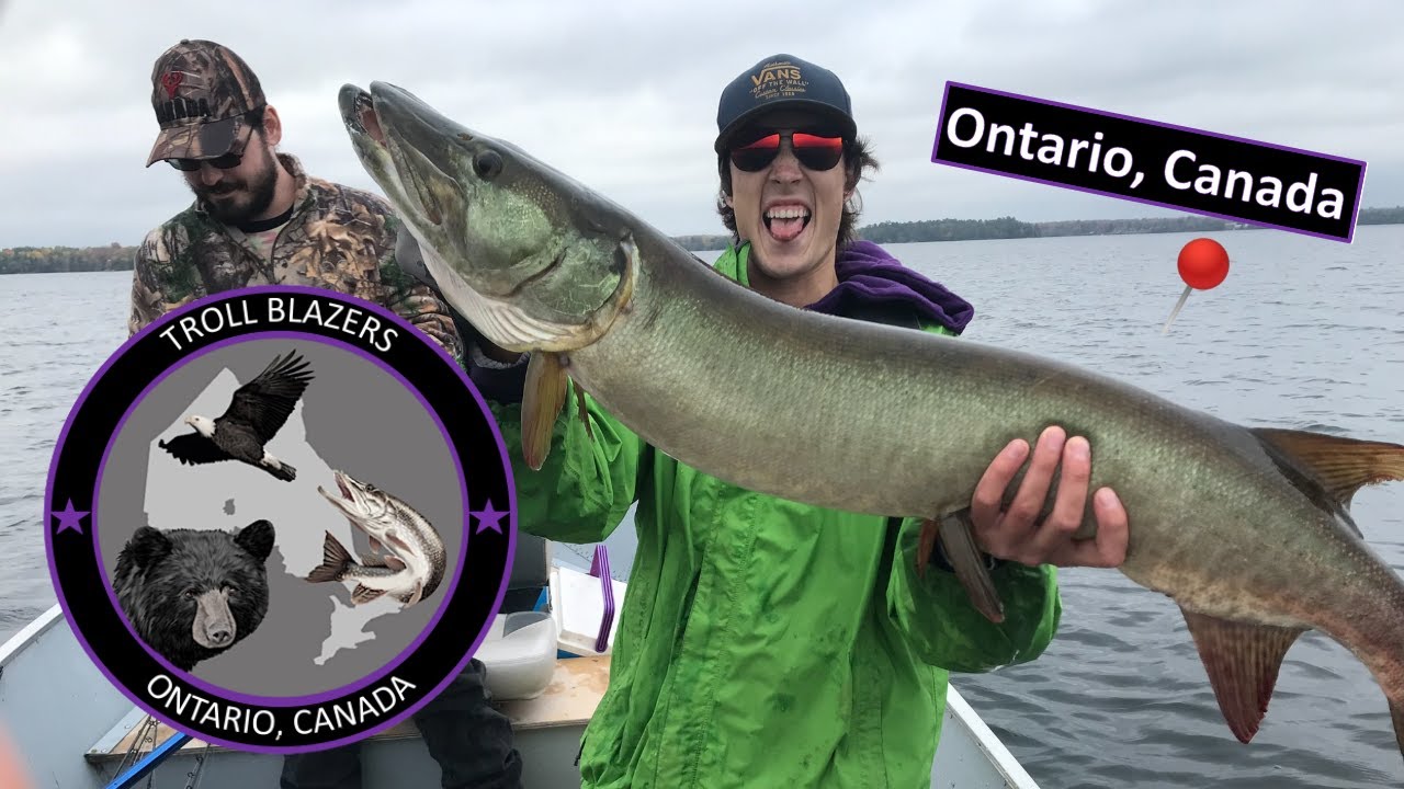Ontario Musky Fishing 2021 - YouTube