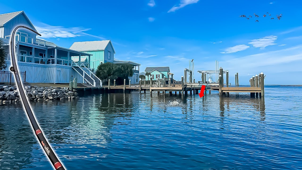 Fishing for GIANT Fish on Old SALTWATER Docks!! - YouTube