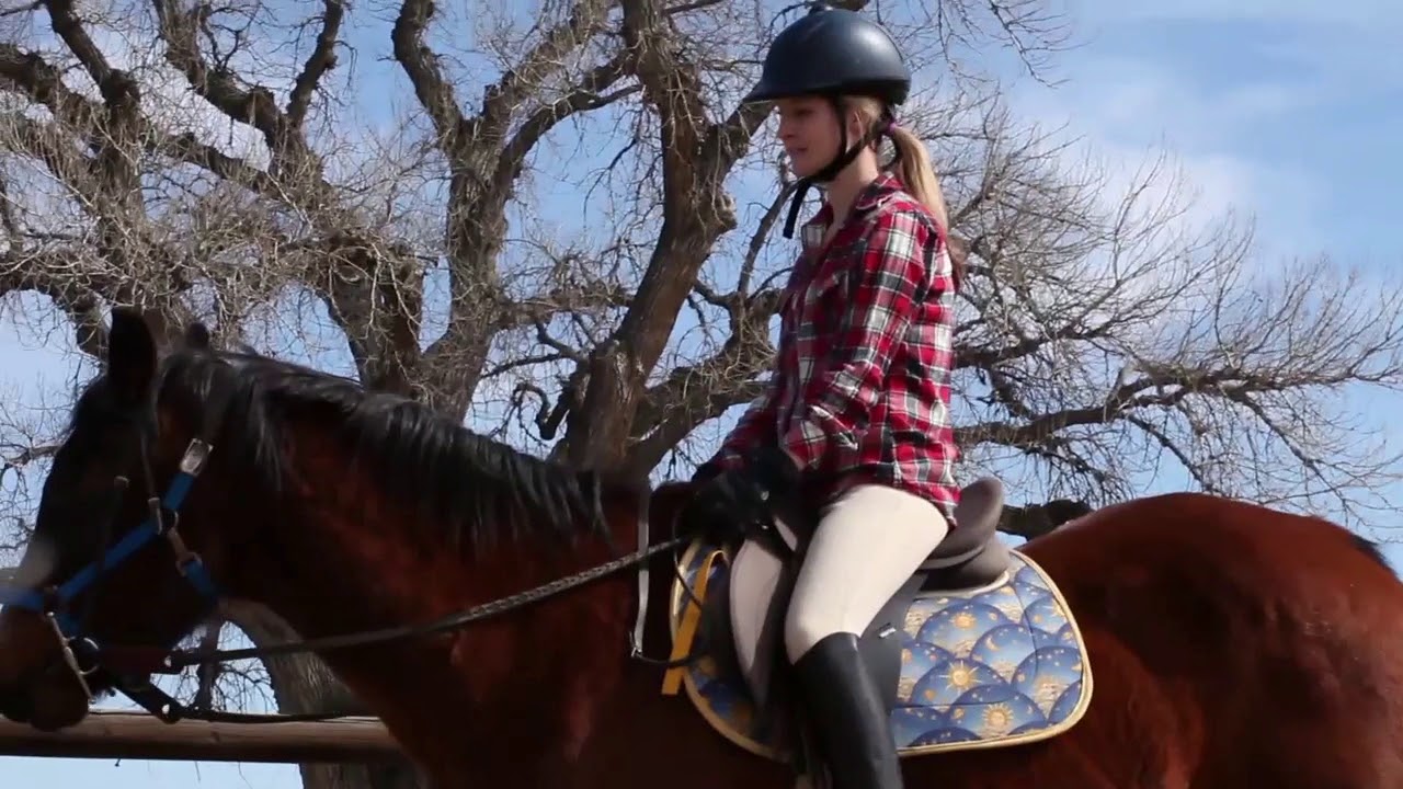 Horses Make Miracles - YouTube