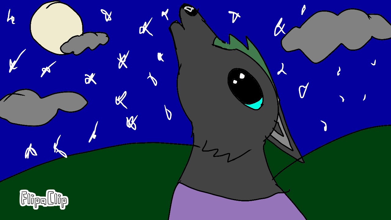 COdy YODer - YouTube