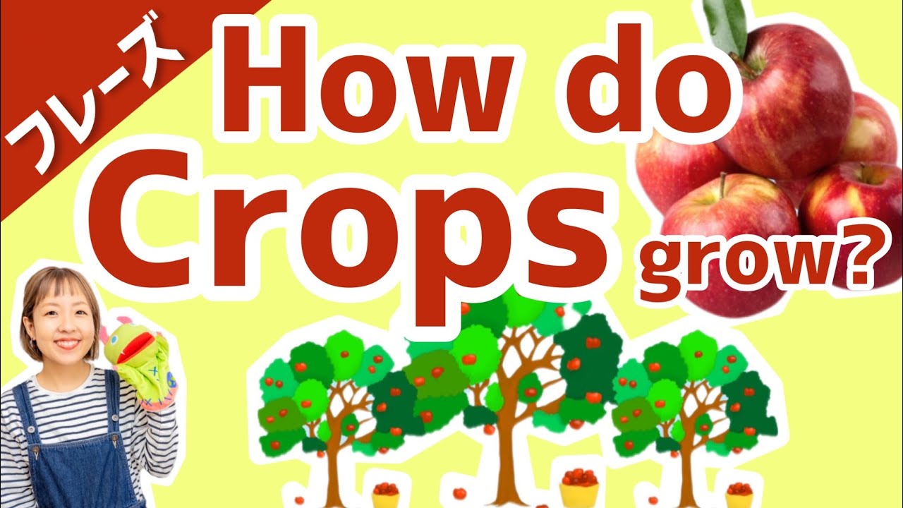 【フレーズ】How do crops grow? 野菜や果物はどうやって育つの？[#331] - YouTube