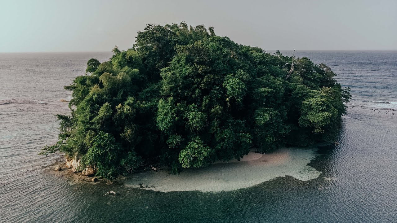MONKEY ISLAND | Portland, Jamaica - YouTube