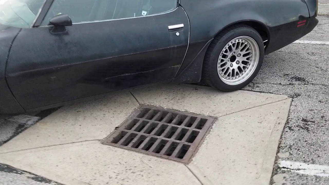 81 trans am with ccw racing classics wheels and black widow neighbor ...