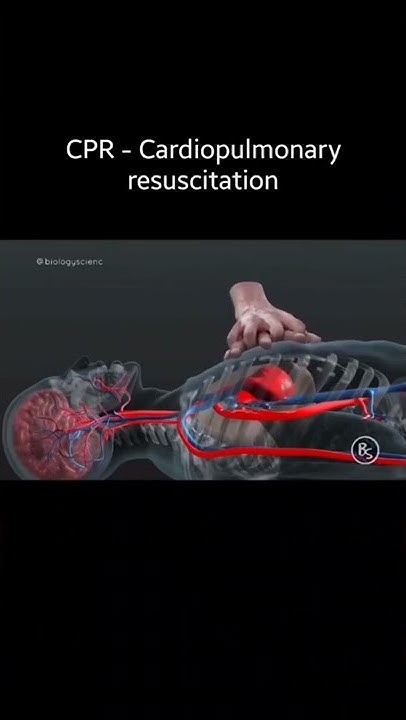 Cardiopulmonary resuscitation (CPR) - YouTube