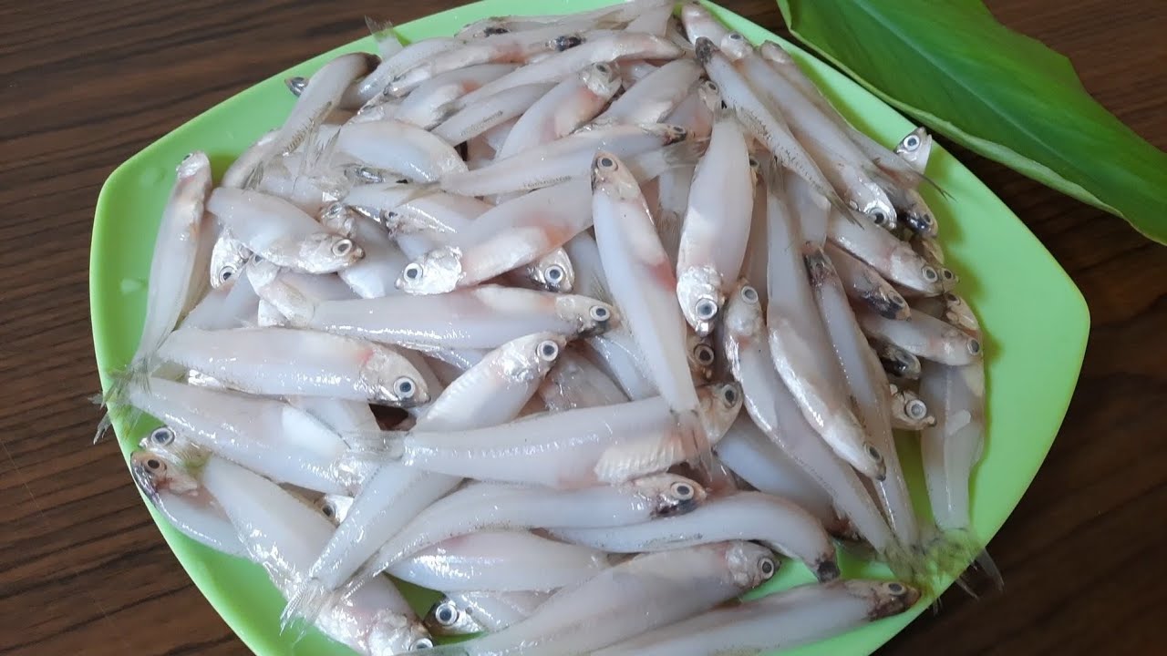 jika punya ikan kecil atau teri basah cobalah masak ini bisa untuk lauk ...