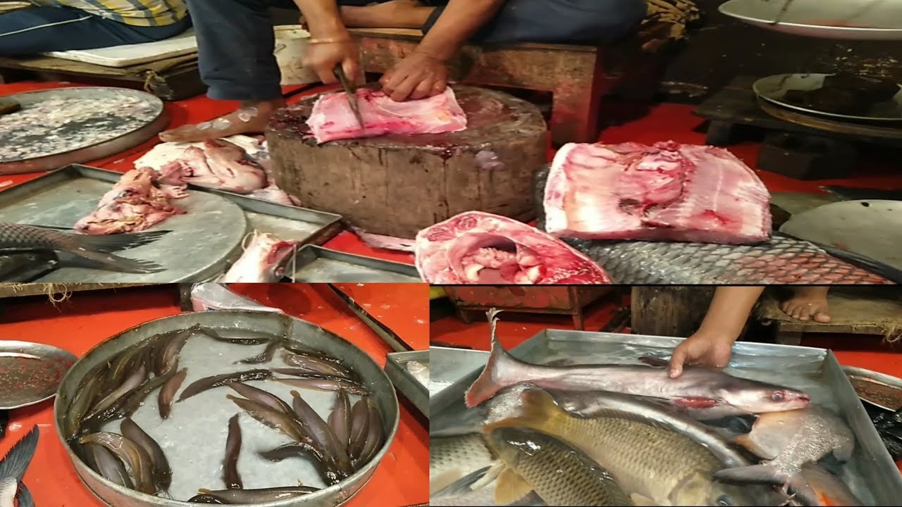 FISH MARKET GANESHGURI GUWAHATI||ASSAM INDIA - YouTube